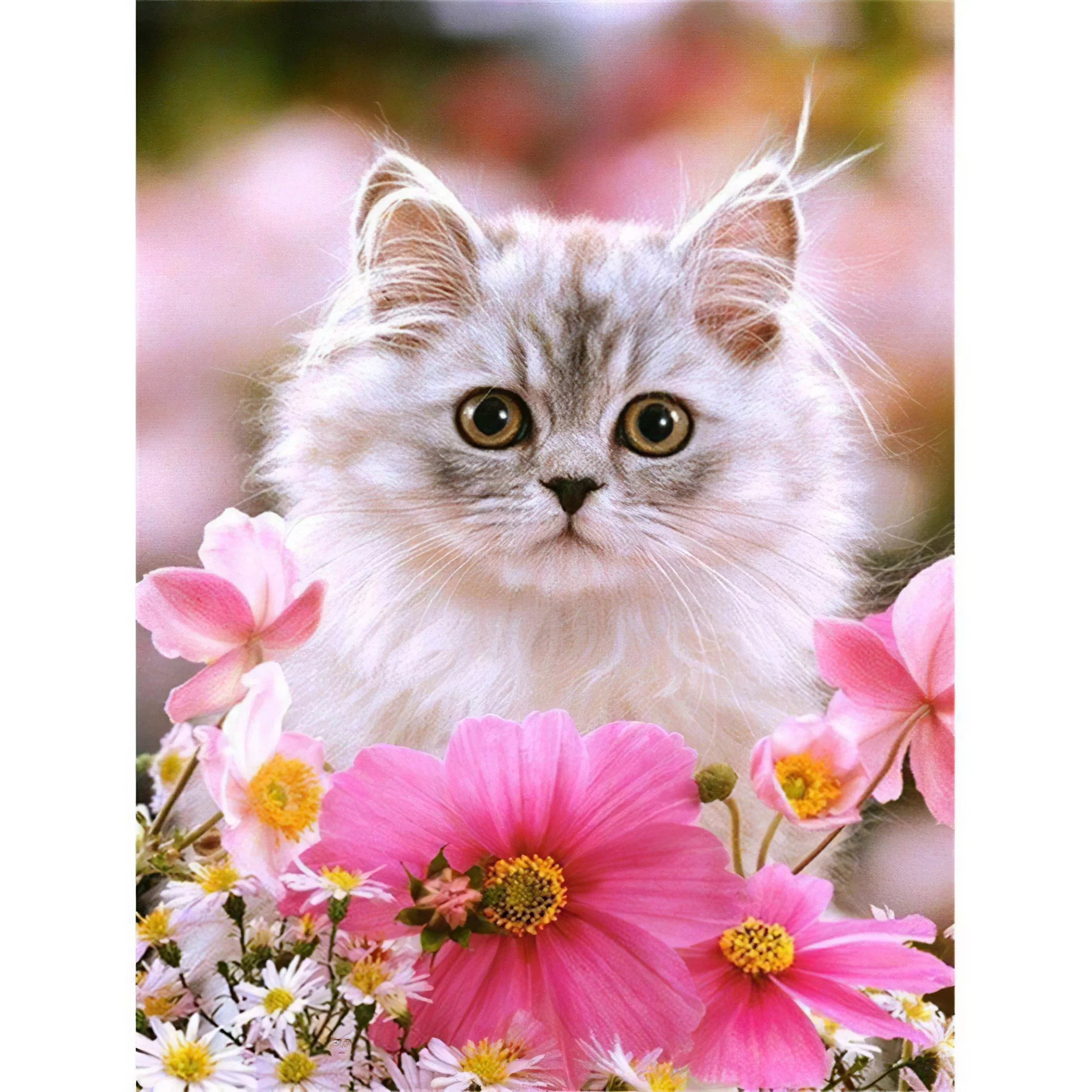 Chat avec des fleurs roses | Diamond Painting | Broderie Diamant